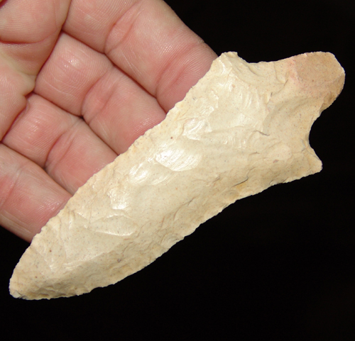 Artifacts Guide- Blushing Stem Pickwick