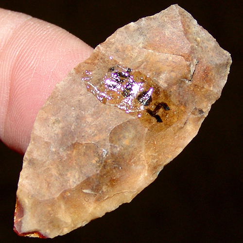 Artifacts Guide- Chocolate Tip Tampa