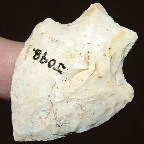 Artifacts Guide- Silky Savannah River