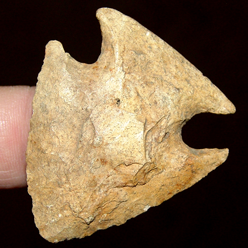 Artifacts Guide- Tan Kirk Corner Notch