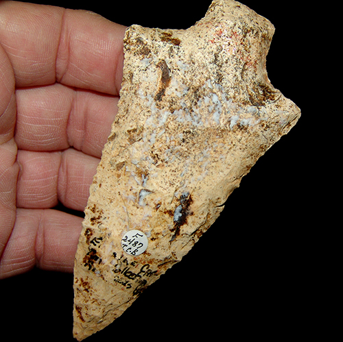 Artifacts Guide- Speckled Elora