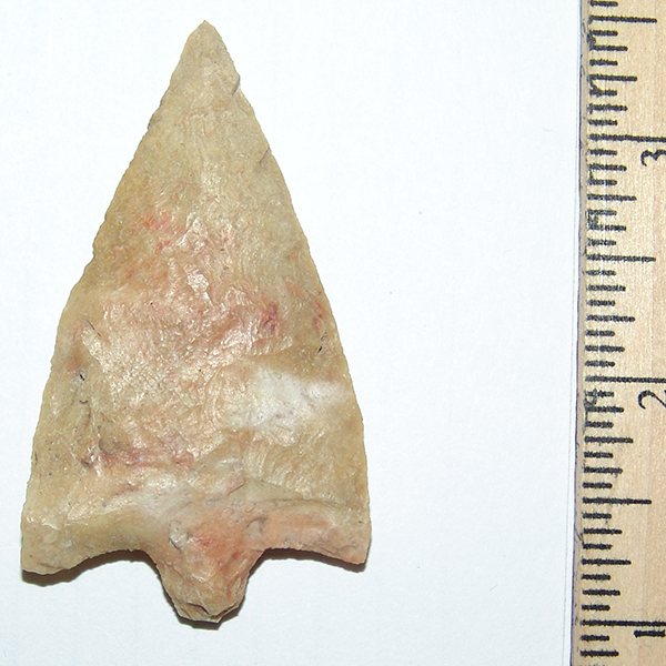 Artifacts Guide- Swampy Hillsborough