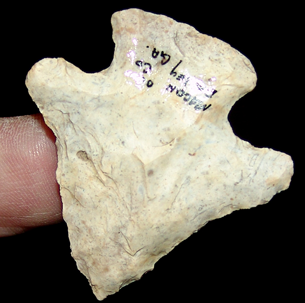 Artifacts Guide- Georgia Abbey