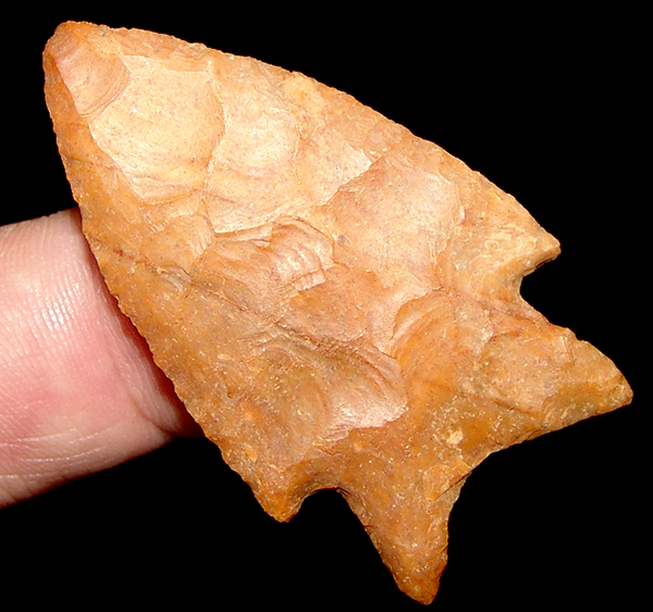 Artifacts Guide- Fluted Chipola