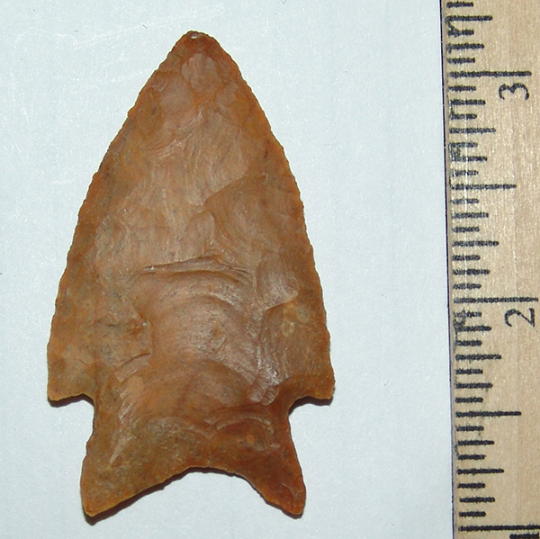 Artifacts Guide- Fluted Chipola