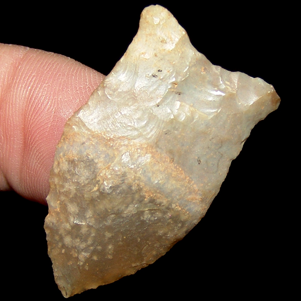 Artifacts Guide- "Eclipse" Quad-Suwannee