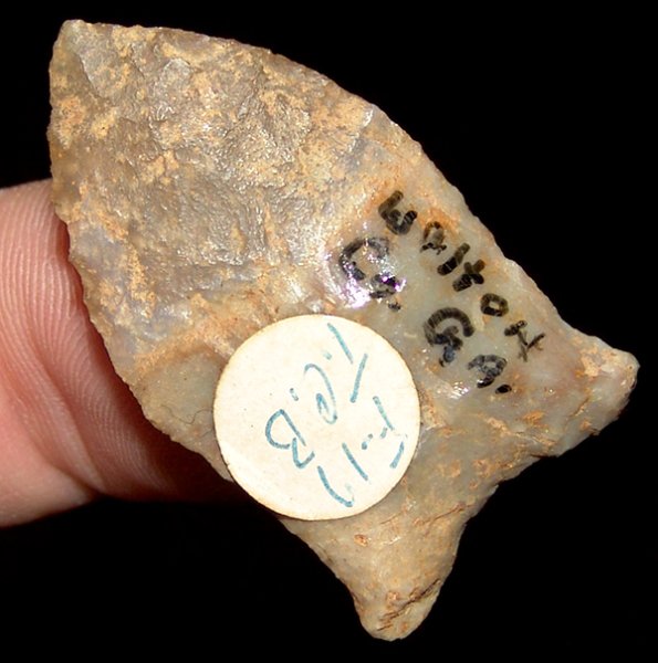 Artifacts Guide- "Eclipse" Quad-Suwannee