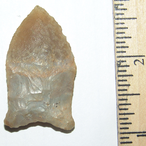 Artifacts Guide- "Eclipse" Quad-Suwannee