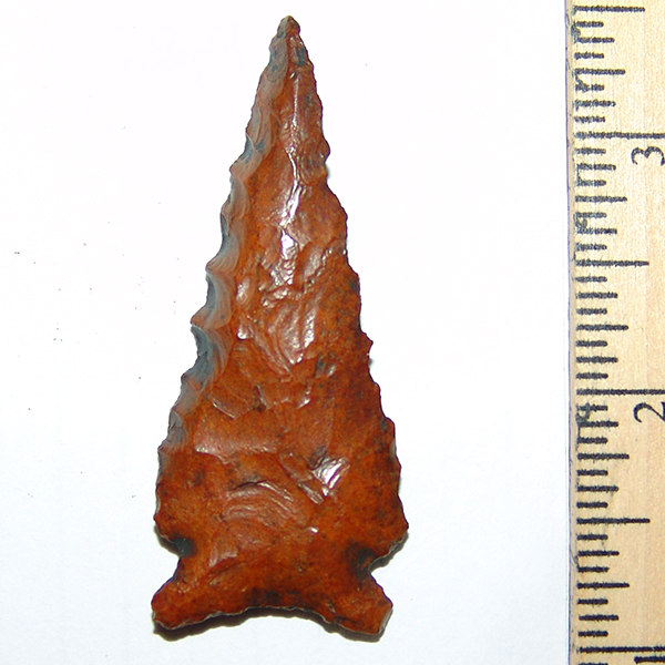 Artifacts Guide- Beutell Ecusta Bolen