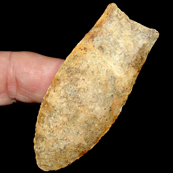 Artifacts Guide- "Blondie" Clovis